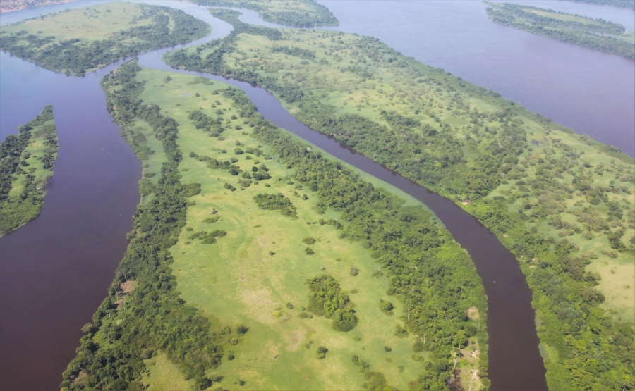 Clima de Congo en Enero (Tiempo y Tablas climáticas)